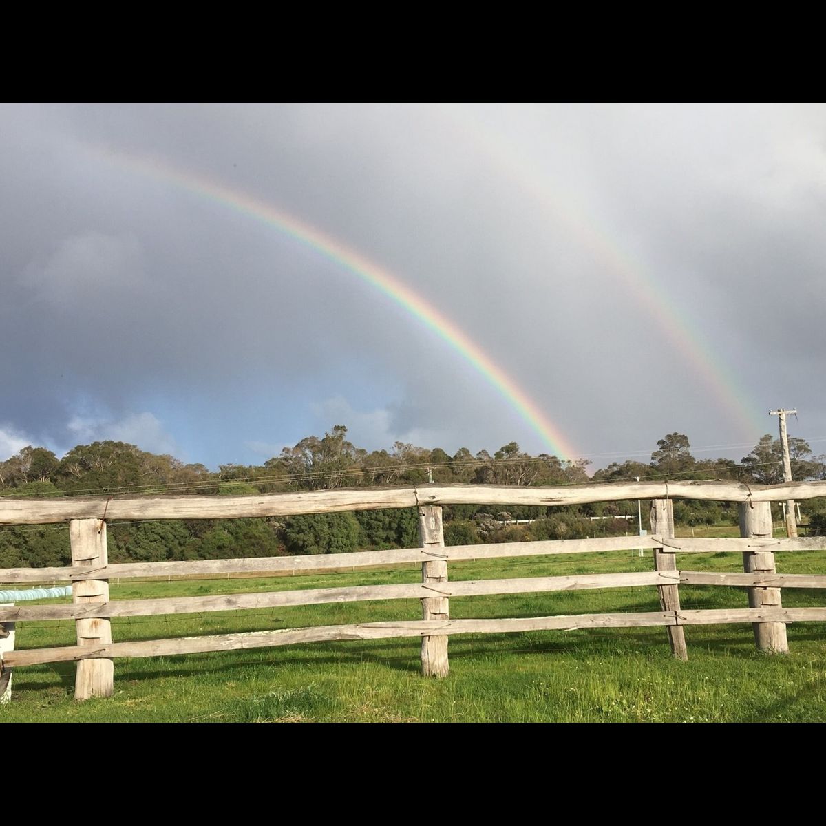 Case Study: Crystal Springs, Forest Grove, WA