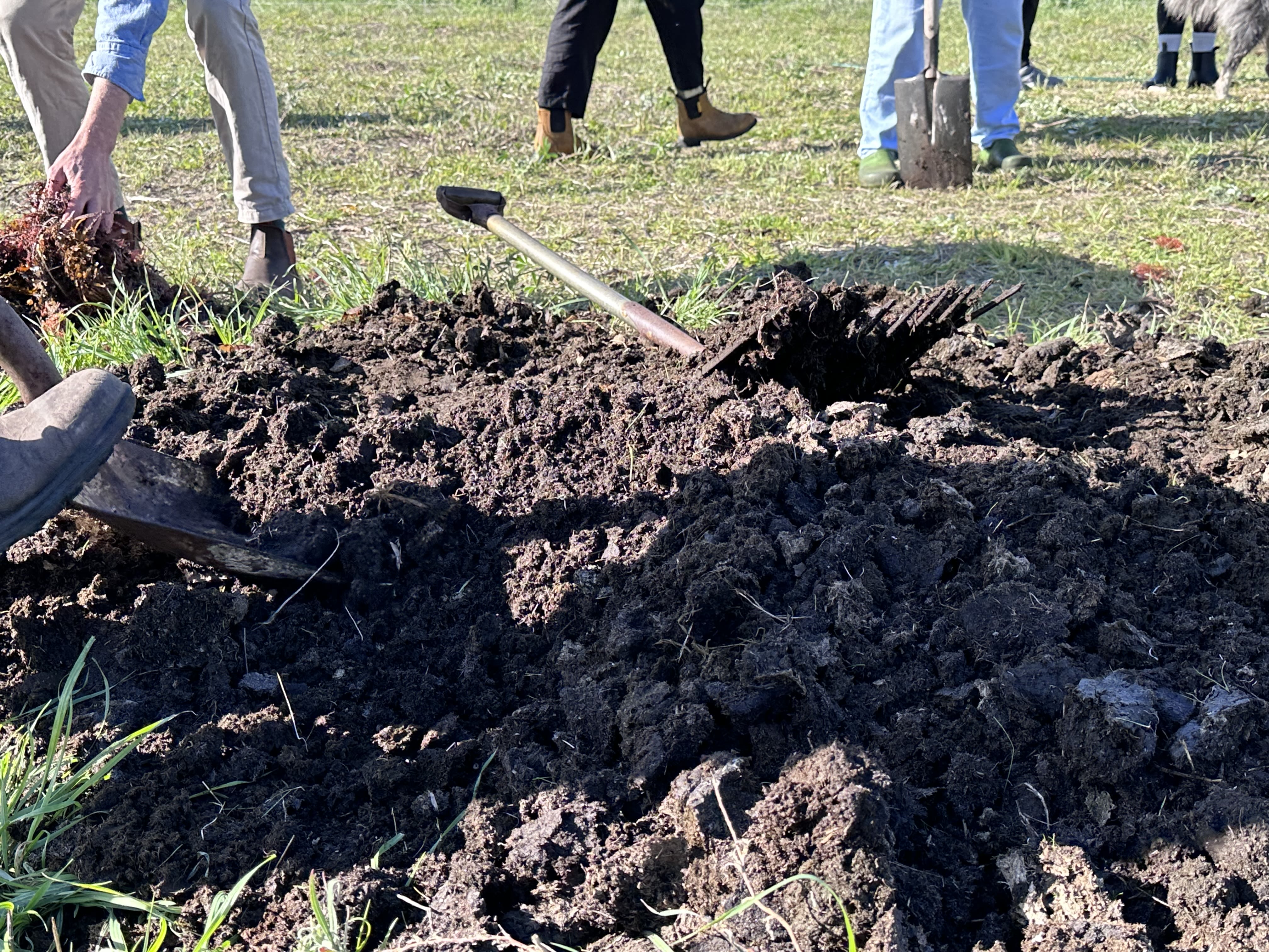 Case Study: Fresh Tracks Farm