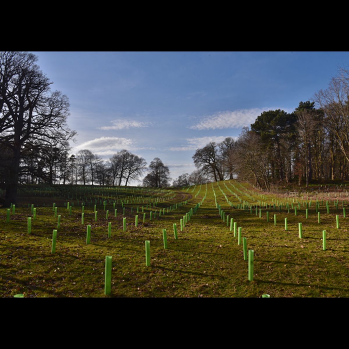 On Farm Revegetation Toolkit